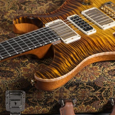 Fender PS#10409 Special 22 Semi Hollow "Birds of a Feather" | Reverb