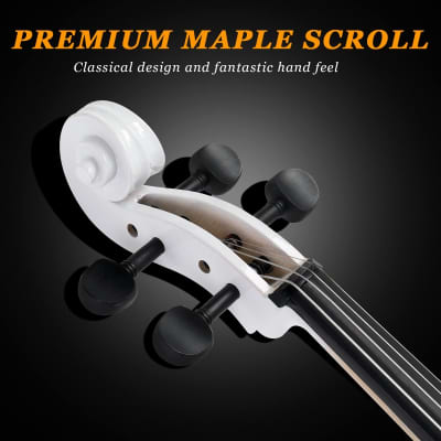 Glarry GC101 4/4 Full-Size Acoustic Cello - White | Reverb