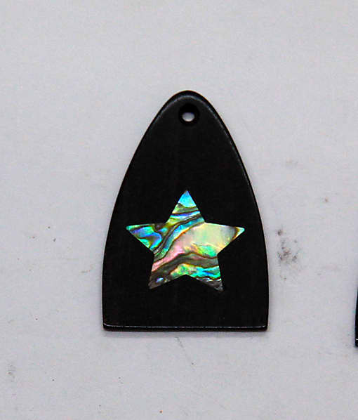 Truss Rod Cover with Star Inlay will fit PRS | Reverb