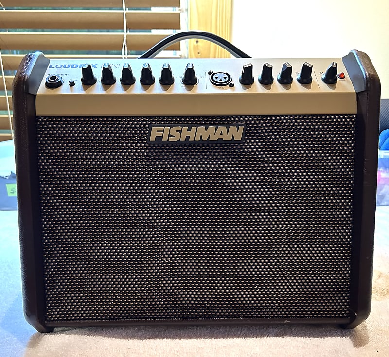 Loudbox Mini Pro LBX 500 Acoustic Amp 2000’s - Gold & Dark | Reverb