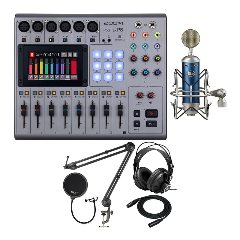 Blue Microphones Bluebird SL Large-Diaphragm Cardioid | Reverb