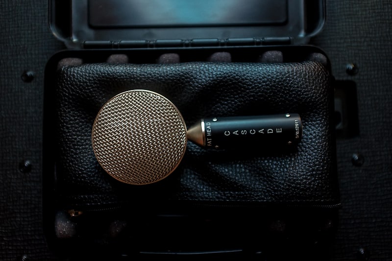 Cascade Microphones - Fat Head Ribbon Microphone | Reverb