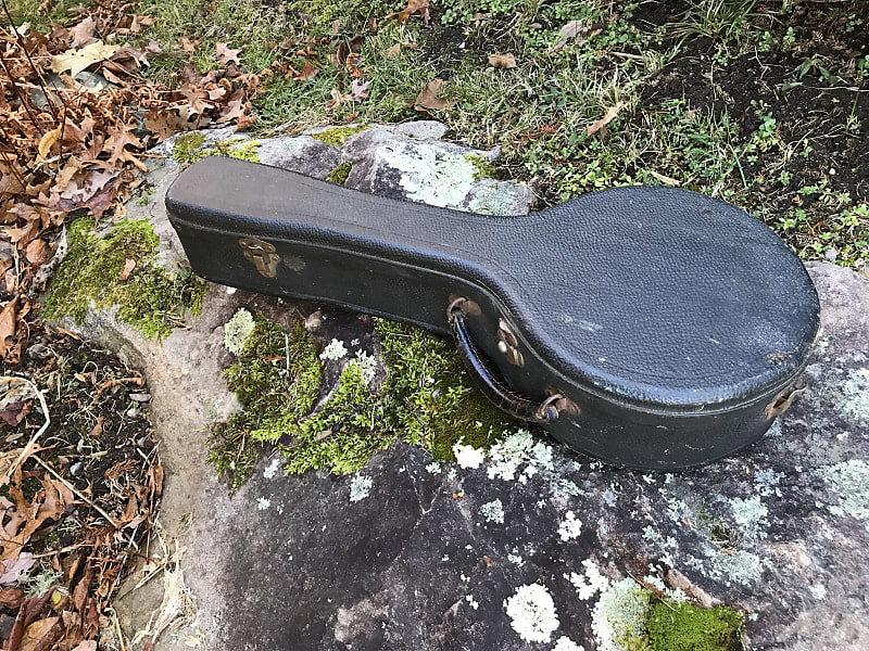 Rare Vintage Geib Banjolele Case circa 1920 Black Good | Reverb
