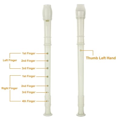 16 Pack 8 Hole Recorder Flute, Plastic Recorders Musical | Reverb