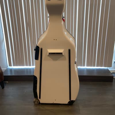 David Gage 3/4 Bass Trunk (Upright Bass Case) | Reverb