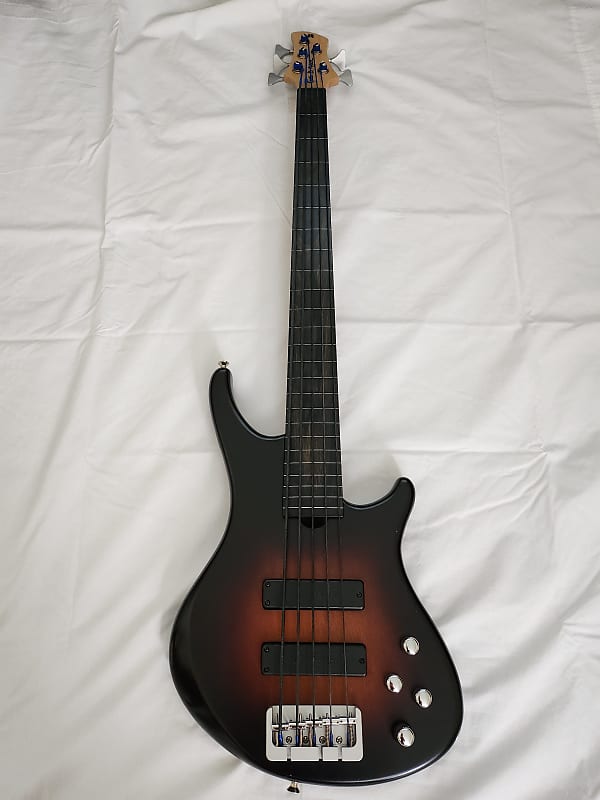 Roscoe Century Standard 5 String Fretless 2010s - Sunburst | Reverb