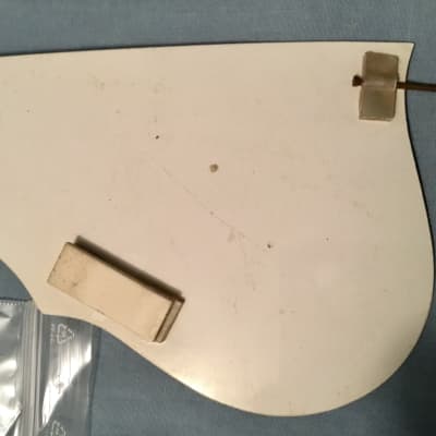 Hofner Senator Pickguard '50's-'60's | Reverb