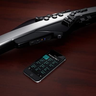 Roland AE-30 Aerophone Pro Digital Wind Instrument | Reverb