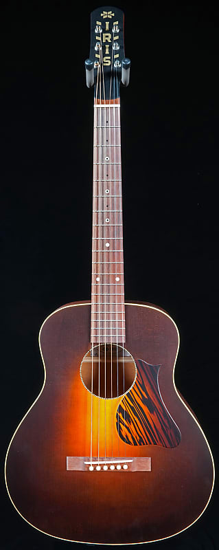 Iris DE-11 Dan Erlewine Signature Model Sunburst | Reverb