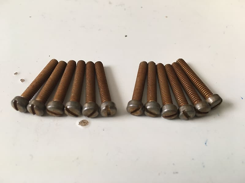 Set of 12 - 1010 Steel Nickel fillister head Relic | Reverb Canada