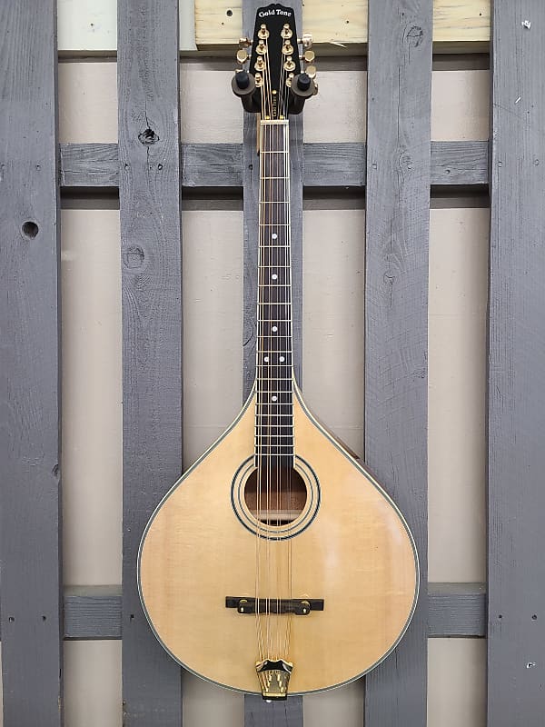 Gold Tone OM-800+ Octave Mandolin w/Radius Fingerboard | Reverb