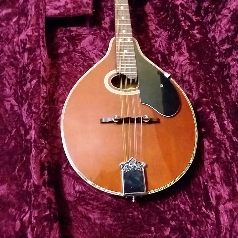 Goya by martin A style mandolin | Reverb