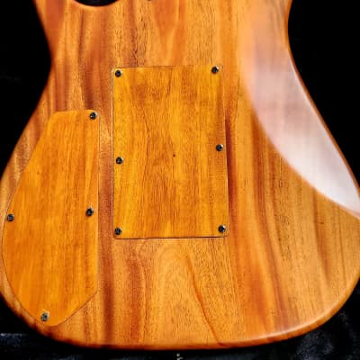SJ Custom Guitars ,burl top, 1 pcs mahogany back, Seymour | Reverb