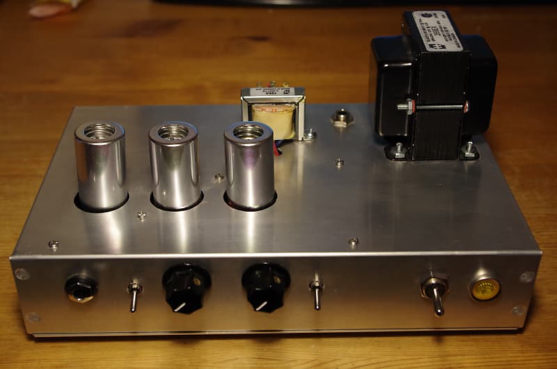 DIY Firefly Guitar Amp Head | Reverb