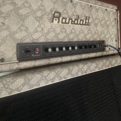 Randall rg100 cabinet speakers | Reverb