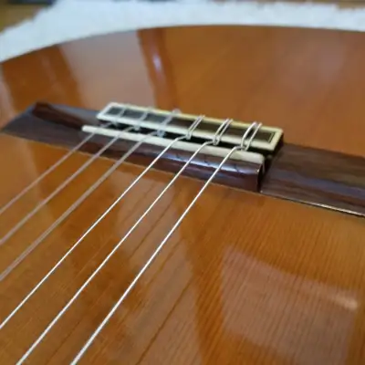 Takamine No.5 | Reverb UK