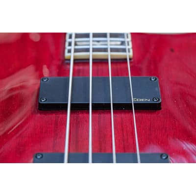 2008 Washburn WB66 Idol Bass transparent red | Reverb