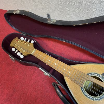 1963 Suzuki M-203 Bowl back Mandolin with original case, pick | Reverb