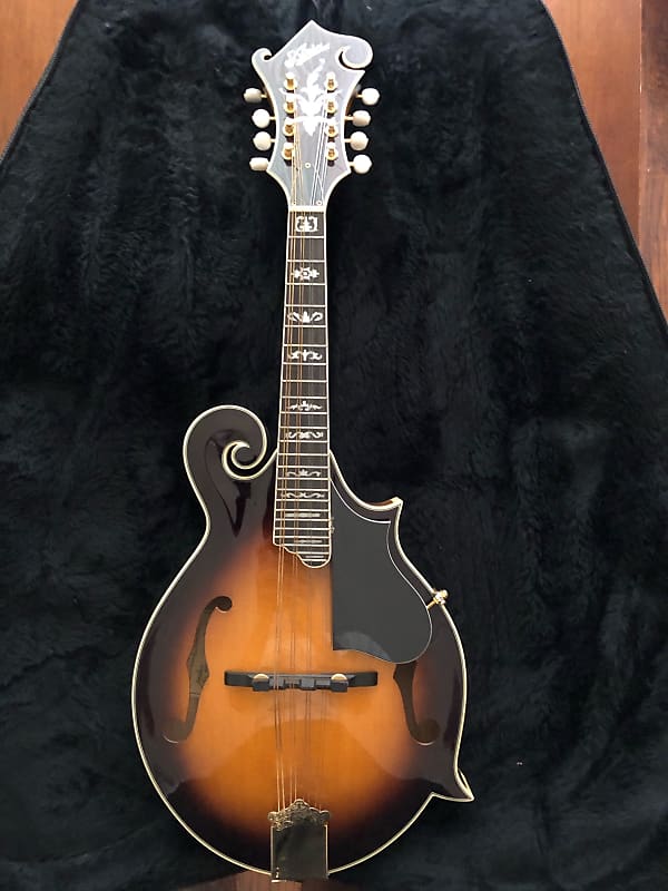 Aria Mandolin AM600 Around 2001 with Soft Carrying Case | Reverb