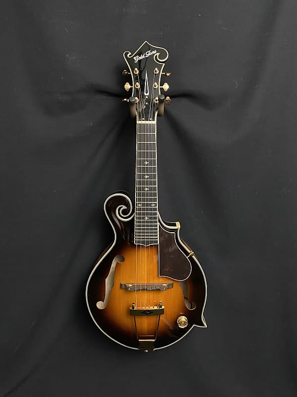 Gold Tone F-6+ Mando-Guitar 6-String Mandolin w/pickup, | Reverb