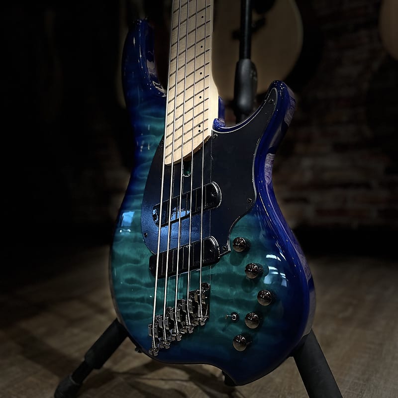 Dingwall Combustion 5 String - Whalepool Blue | Reverb