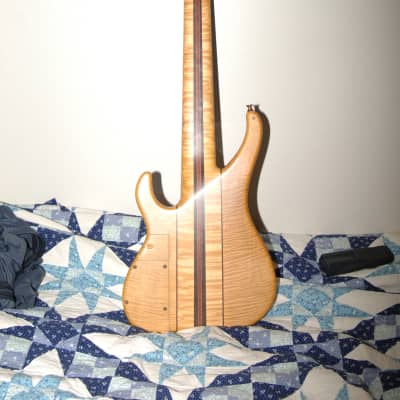 1993 Scott Ambush 5-String Bass | Reverb