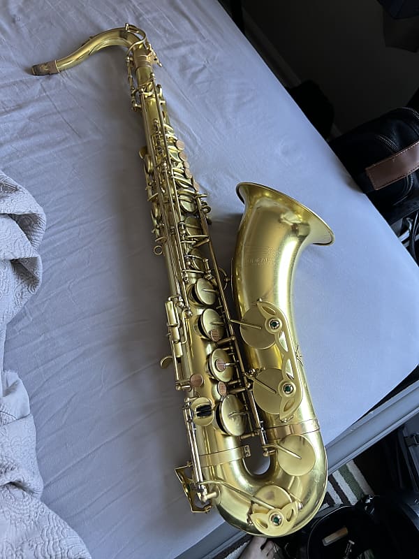 Lupifaro Platinum 2021 New Model | Reverb