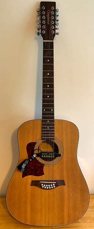 Tanglewood TW1200 STNS LH 12 String Guitar | Reverb