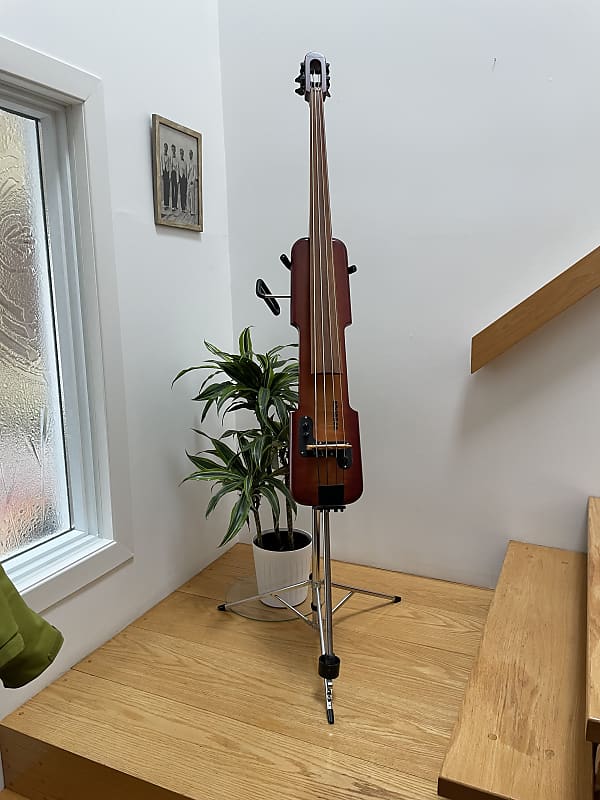 Azola BugBass Upright Electric | Reverb Canada