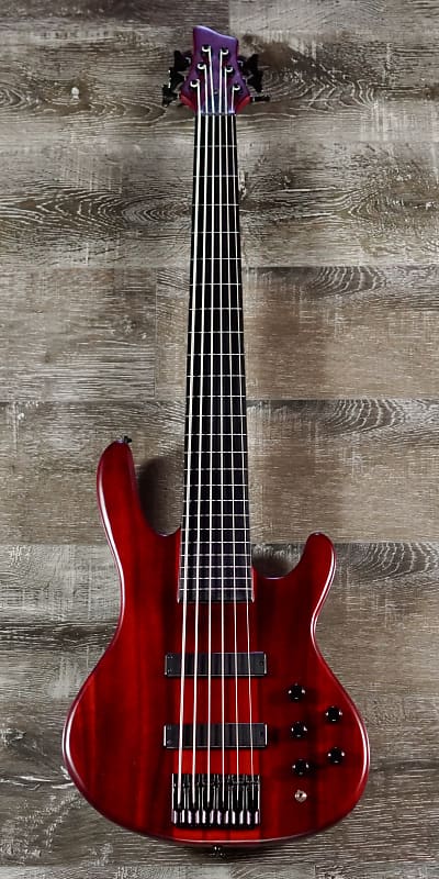 AIO 6W 6-String Fretless Bass - Walnut Reddy 003 | Reverb