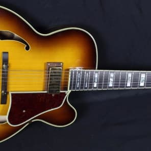 Ibanez AAF207 7 String Hollowbody Jazz Box Electric Guitar | Reverb