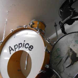 Carmine Appice's Rod Stewart, Realistic Rock, Ludwig 76 | Reverb