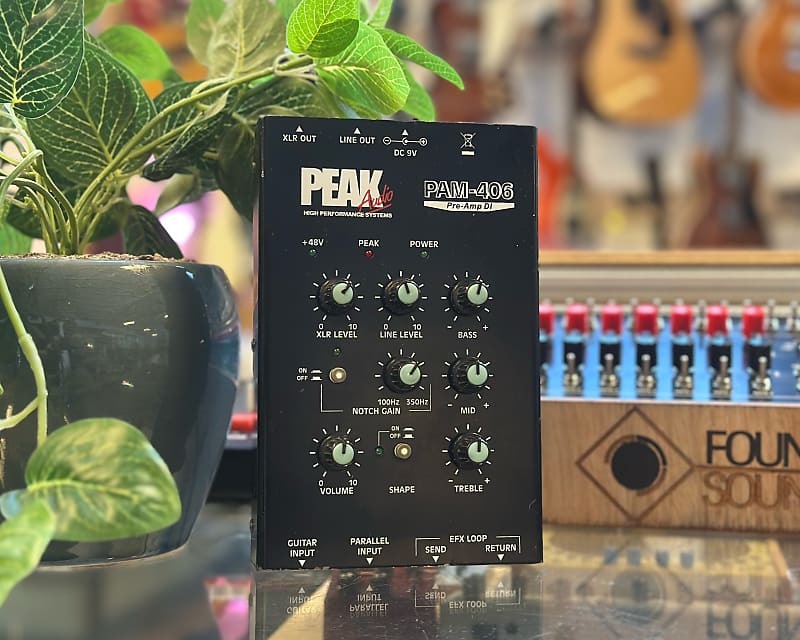 Peak Audio PAM-406 | Reverb Australia