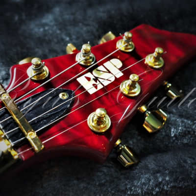 ESP Custom Order Forest GT Red | Reverb