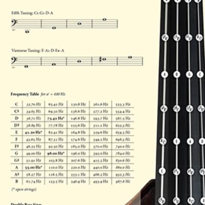 Double Bass Fingerboard Chart and Cheat Sheet (folded, 6 | Reverb
