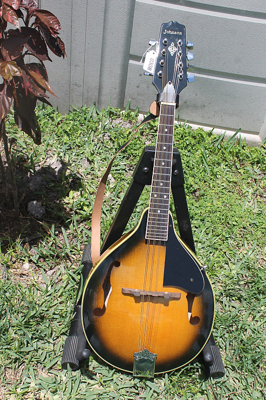 Johnson mandolin, Sunburst never played with hardshell case | Reverb