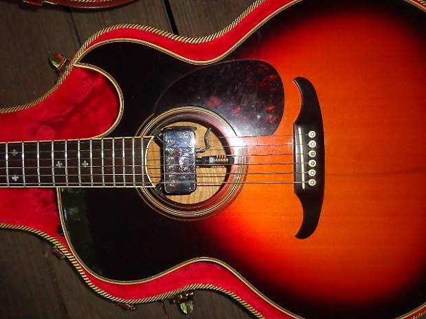 Fender El Rio | Reverb