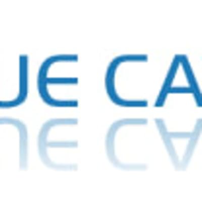 Blue Cat Audio Axiom - Multi-Effects Processor & Amp | Reverb