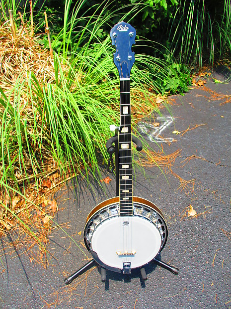 Iida 5 String Banjo~Big Block MOP Inlay~Mother Of Pearl | Reverb