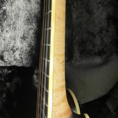 Voight F5 Mandolin | Reverb