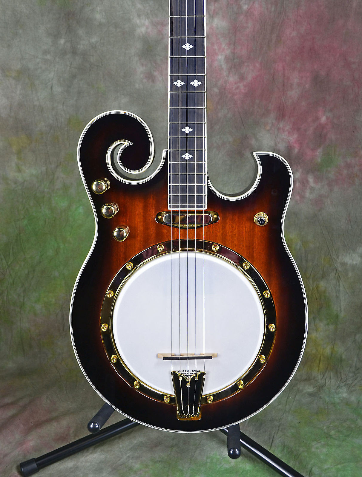 Gold Tone EBM-5+ F-Style 5-String Electric Banjo | Reverb