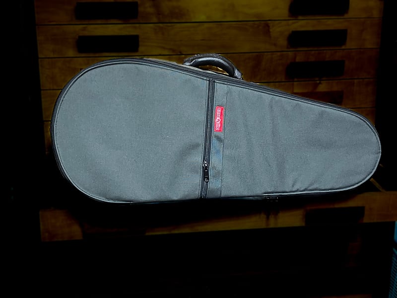 Caseadillo Case Cover Mando-Calton mandolin standard 2023 - | Reverb