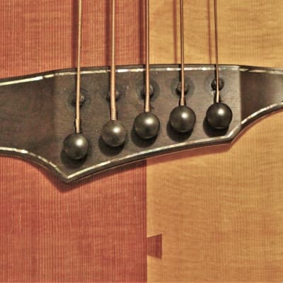 Harry Fleishman 'Dragonfly'. 1995 One of a Kind Acoustic | Reverb