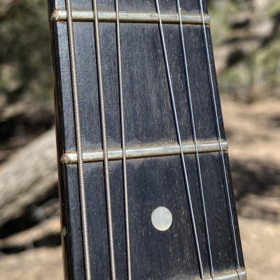 Carvin V220 - Koa Wood, Ebony Fretboard, Kahler Bridge- | Reverb