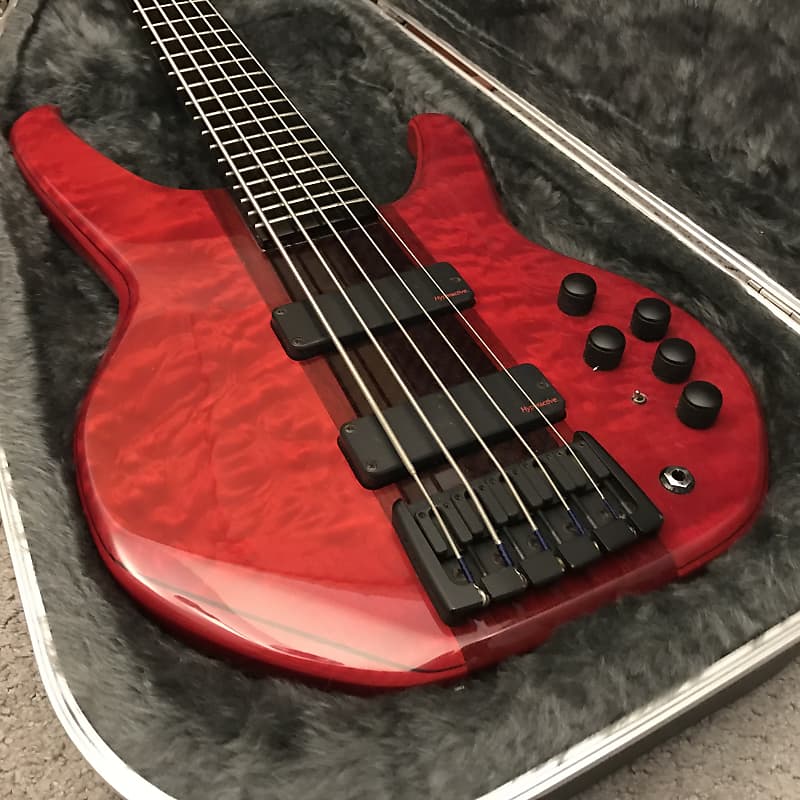 Status Empathy Graphite 5-String Bass Cherry Red 1996 | Reverb Canada