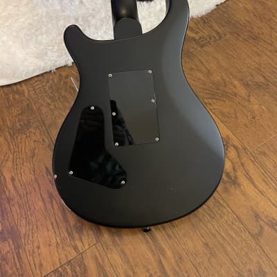 PRS SE Floyd Custom 24 (2017 - Present) | Reverb