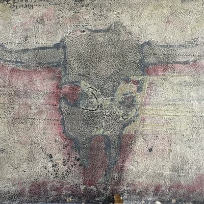 Vintage Bass / Guitar Case Owned by David Roback Mazzy Star | Reverb