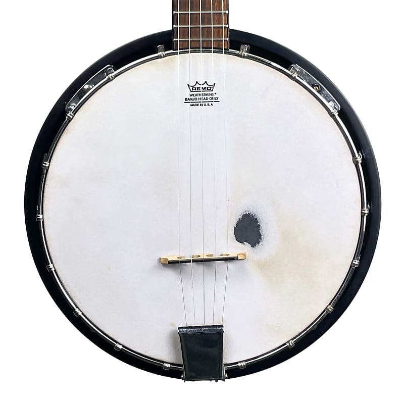 Trinity River 5-String Banjo (used) | Reverb