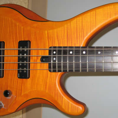 Waterstone Sam Hill 2-string bass 2022 Matte Black | Reverb