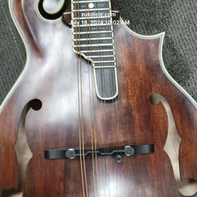 Mandolin Bluegrass Satin | Reverb